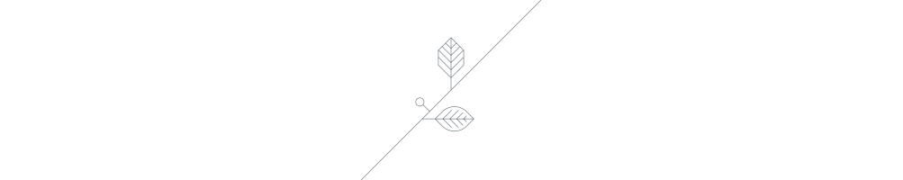 ACTYVA Shampoings et Soins Velian Complex - 2025