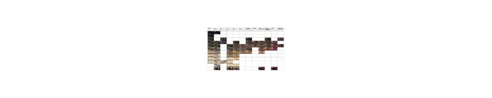 Solfine Natural Color Swatches